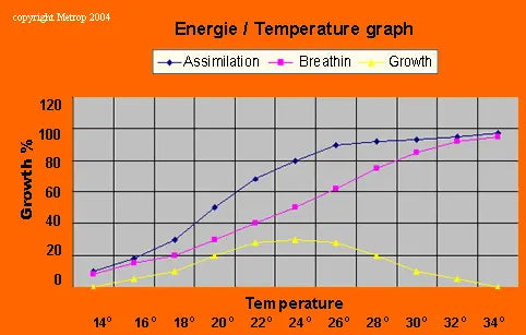 Cultivation temperature and energy